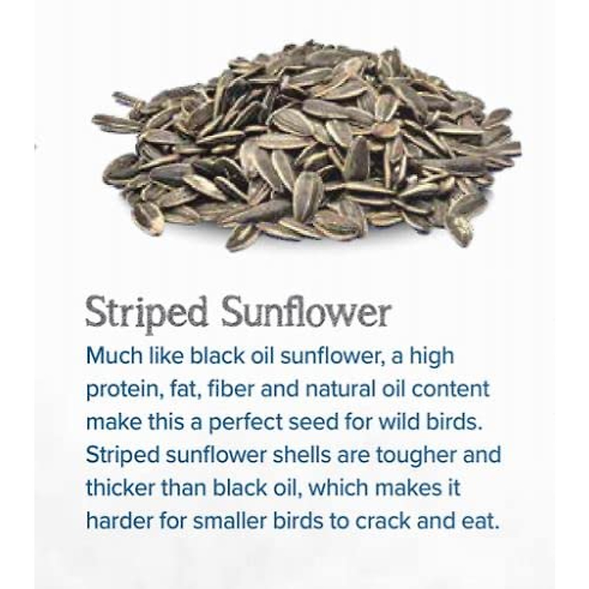 Backyard Seeds Striped Sunflower Bird Seed (35 Pounds)