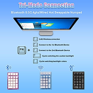 BOYI TD21 HotSwap Mechanical Numeric Keypads,21 Keys Mini Numpad Portable Keypad BT5.0/2.4G/Wired Keyboard RGB Number Pad Wireless Numeric Keypad(Blue Color with OEM Profile Pudding Keycaps)