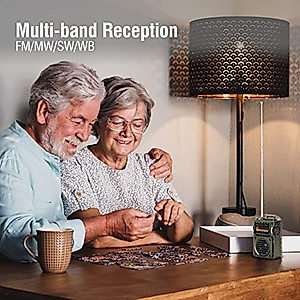 Raddy RF750 Portable Shortwave Radio AM/FM/SW/WB Receiver with Bluetooth and NOAA Alerts - Pocket Retro Mini Radio Rechargeable, w/ 9.85 Ft Wire Antenna