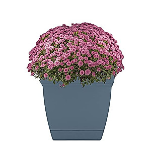 The HC Companies 8 Inch Eclipse Square Planter with Saucer - Indoor Outdoor Plant Pot for Flowers, Vegetables, and Herbs, Slate Blue