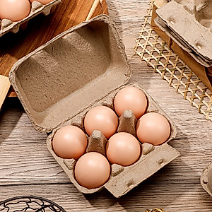 Sieral 100 Pcs Paper Egg Cartons Bulk for Chicken Eggs Blank Pulp Fiber Egg Tray Holder Reusable Empty Egg Storage Containers for Farm Market Kitchen Camping Picnic Easter DIY(6 Count)