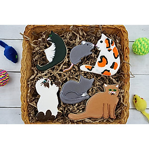 R&M International When the Cat's Away Cookie Cutters, Assorted, 6-Piece Set