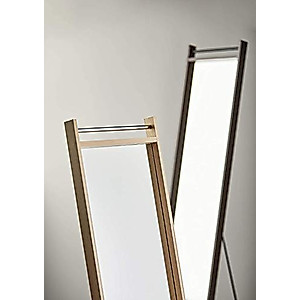 Adesso Abigail Full Length Modern Floor Mirror with Walnut Paper Veneer Wood Grain Finish & Chrome Plated Tube Accent