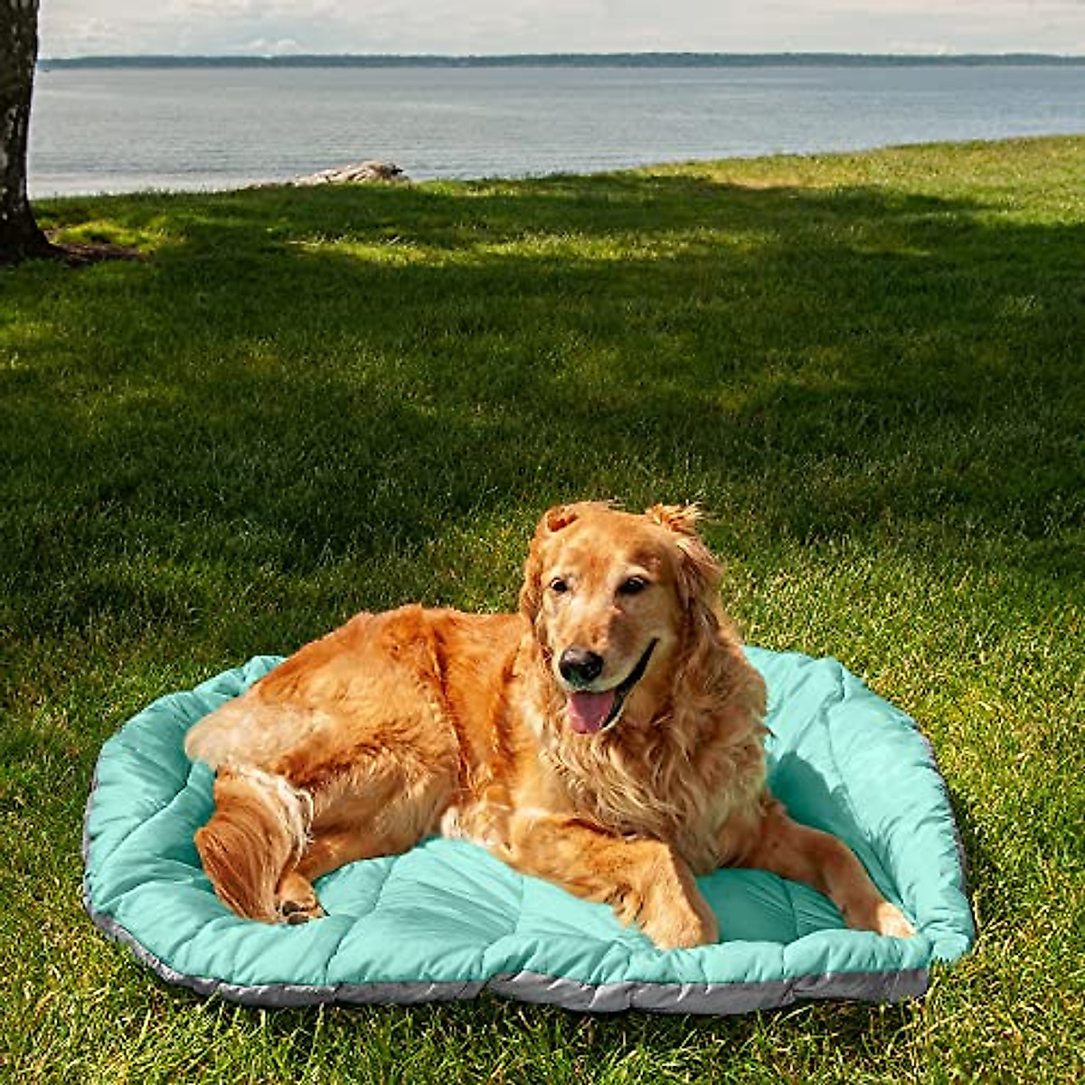 Furhaven Large Dog Bed Trail Pup Travel Pillow Mat w/ Stuff Sack, Washable - Aqua/Granite Gray, Large