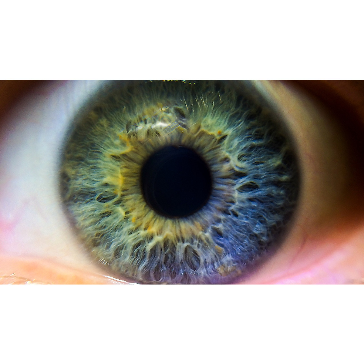 Canon EOS Rebel XT 10x High Definition 2 Element Close-Up (Macro) Lens (58mm)