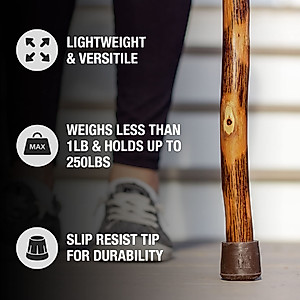 Brazos Rustic Wood Walking Stick, Twisted Hickory, Traditional Style Handle, for Men & Women, Made in the USA, 48"