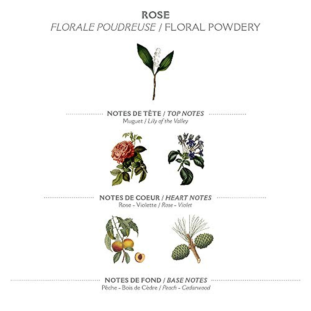 Panier des Sens Rose Hand cream for dry cracked hands with Olive oil - Made in France 97% natural - 2.6floz/75ml