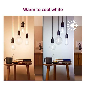 Philips Tunable White ST19 60W Equivalent Dimmable Smart Wi-Fi WiZ Connected Vintage Edison LED Light Bulb (2 Pack), Compatible with Alexa, Google Assistant, and Siri Shortcuts
