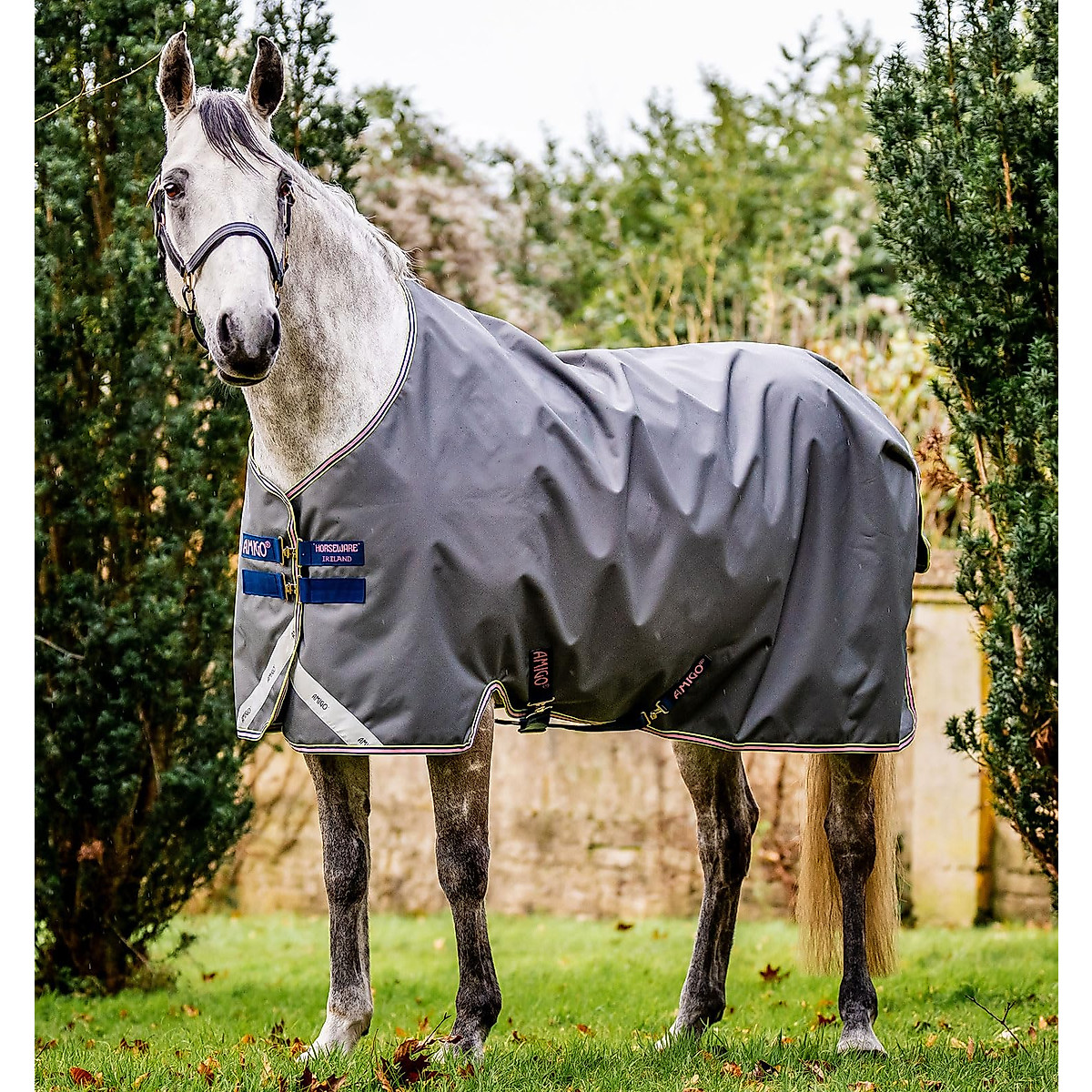 Horseware® Amigo® Bravo 12 Original Turnout Horse Blanket (0g Light)