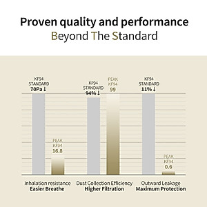 AER KF94 Mask Disposable Face Masks Individually Wrapped | Peak KF-94 Micro Dust Protection Mask Made in Korea (Medium, Black)