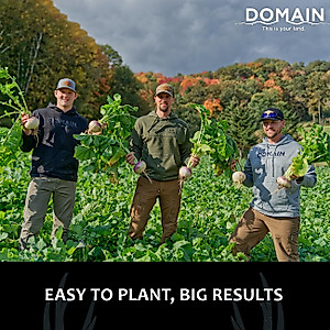 Domain Outdoor Big Sexy Food Plot Seed for Deer, 1/2 Acre, Turnip, Radish, Kale and Forage Rape, High Level of Nutrients & Protein to Support Antler Growth and Health, Fast Germination, Easy to Plant