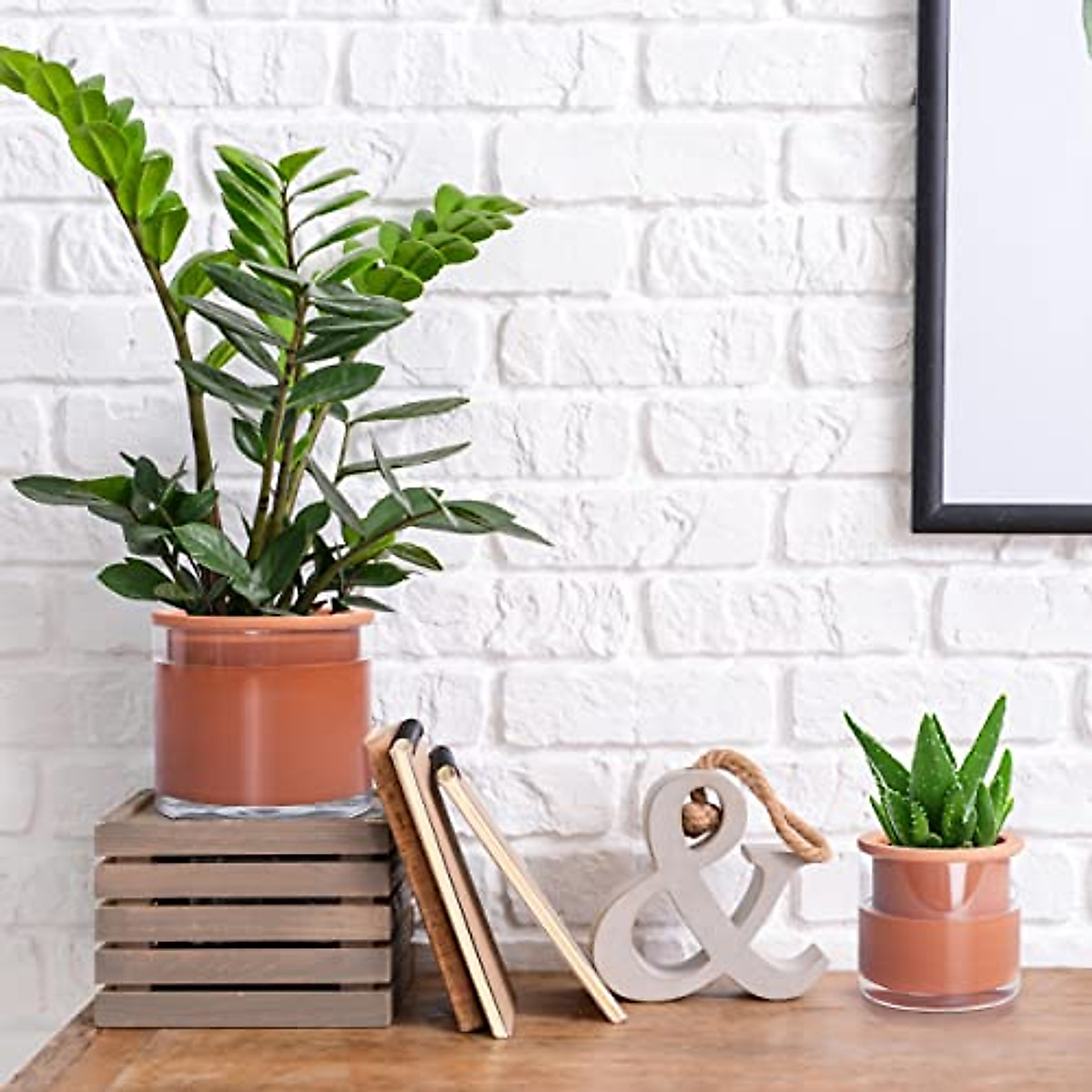 Phoenix Vine 4 Inch 6 Inch Self Watering Plants Pots, Design Terracotta Pots for Plants, Indoor Cylinder Terra Cotta Planter with Glass Vase Set, 51-A-G