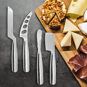 Artenostro TopKnife 4-Pc All Cheese Knife Set - Gift Box Included
