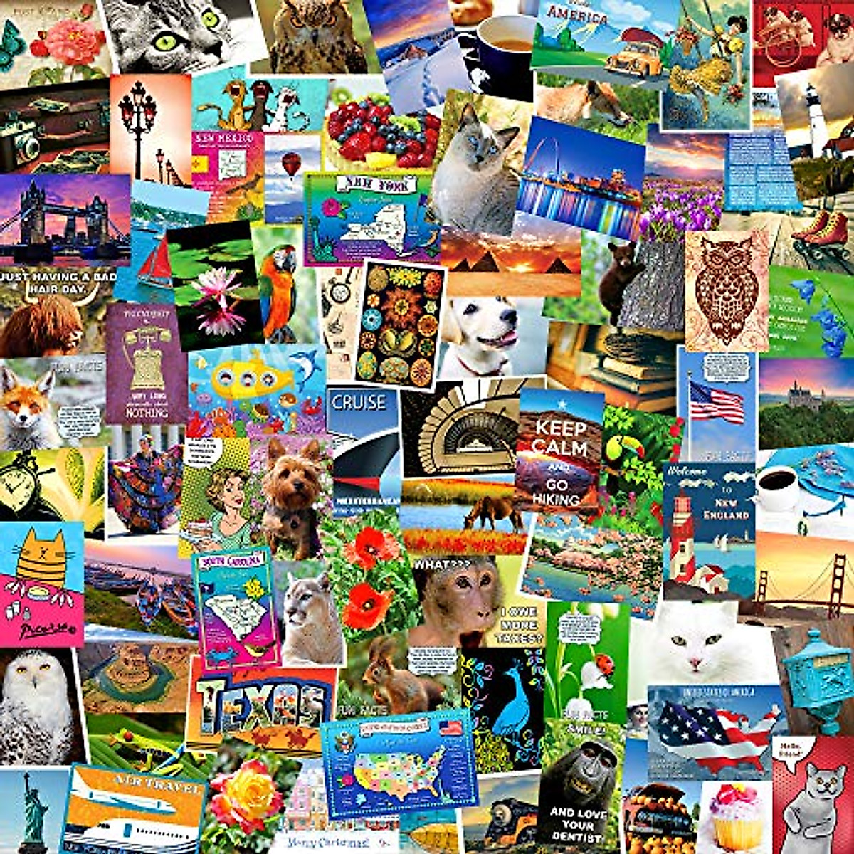 POSTCARD SET of 50 cards. Post card variety pack of random assortment of 50 mixed postcards. Made in USA.