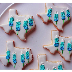 Texas Cookie Cutters 2-Pc. Set Made in the USA by Ann Clark, Texas, Longhorn