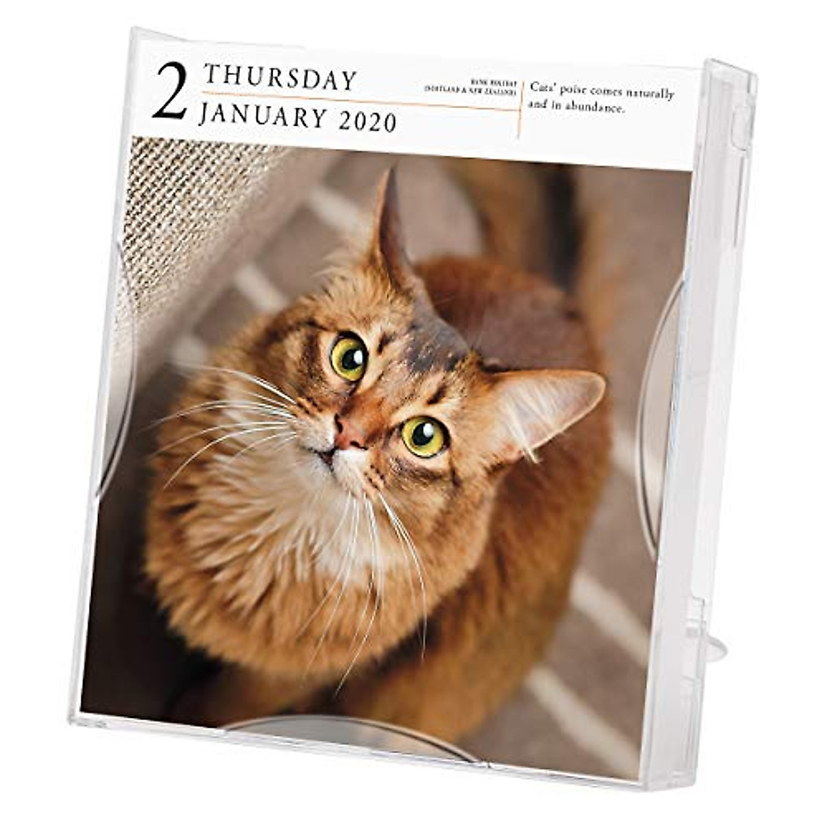 Cat Page-A-Day Gallery Calendar 2020