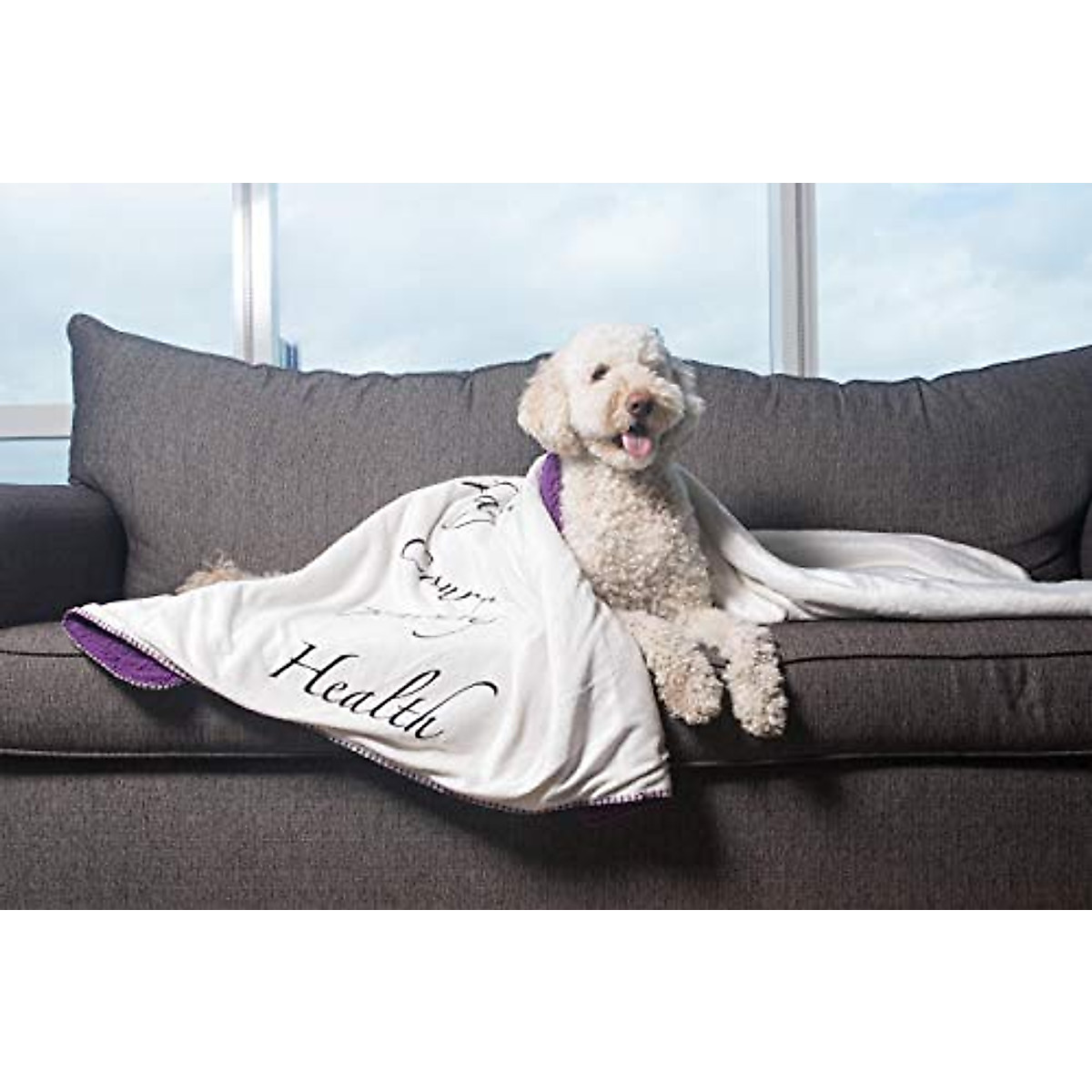 Plant Based Pros Healing Blanket with Inspirational Message of Love Hope Happiness Health - Super Soft Throw Blanket is The Perfect Recovery Blanket or Cancer Gift for Men and Women - Teal Blanket