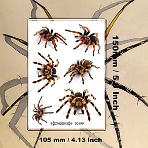 Ooopsiun 3D Halloween Spider Tattoos for Kids - 12 Sheets Spider Web Halloween Tattoos for Women Men Kids Boys Halloween Cosplay Accessories