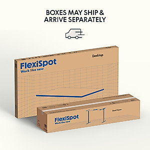 FLEXISPOT EN1 One-Piece Height Adjustable Desk 48 x 30 inch Electric Standing Desk, Stand Up Desk for Home Office (Silver Frame + 48" Natural Top, 2 Packages)