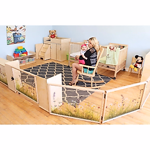 Whitney Brothers Nature View Divider Gate, clear acrylic (WB0261)