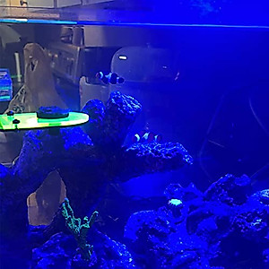 8Pcs Coral Frag Rack Fluorescent Coral Brackets Holder, Acrylic Coral Frag Rack with Powerful Suction Cup and Placstic Screws, Marine Reef Aquarium Spare Parts Suitable for Household Fish Tanks