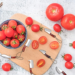 Damascus Mini Knife Set with Sheath, Kitchen Tiny knife set Pocket keychain knife Utility Tiny Chef knives for Package Opener Box Cutter Bottle Opener - Set of 6