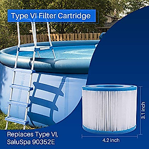 POOLPURE Type VI SPA and Hot Tub Filter Replaces Coleman SaluSpa 90352E, Bestway Filter, Lay-Z Spa, Set of 6