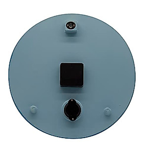 Taylor Flamingo Poly Resin Indoor and Outdoor Clock and Thermometer, 14 Inch, Multi-Color