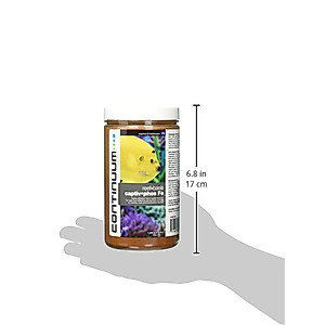 Continuum Aquatics ACO30666 Reef Phosphate Water Supplement for Aquarium, 2.6-Pound (QCPFE1200)