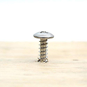 #6 x 5/8" Stainless Truss Head Phillips Wood Screw (100pc) 18-8 (304) Stainless Steel Screws by Bolt Dropper, ssd Screws