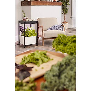 Miracle-Gro Twelve Indoor Growing System, Side Table with LED Grow Light for Year Round Gardening, Planter For Leafy Greens, Herbs & Flowers