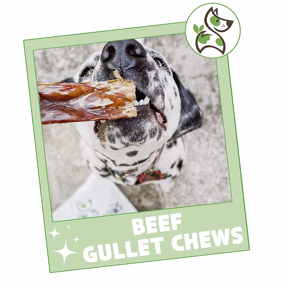 Nature Gnaws Beef Gullet Chews for Large Dogs 9-10" (10 Count) - Natural Beef Jerky Stick Dog Chew Treats - Rawhide Free