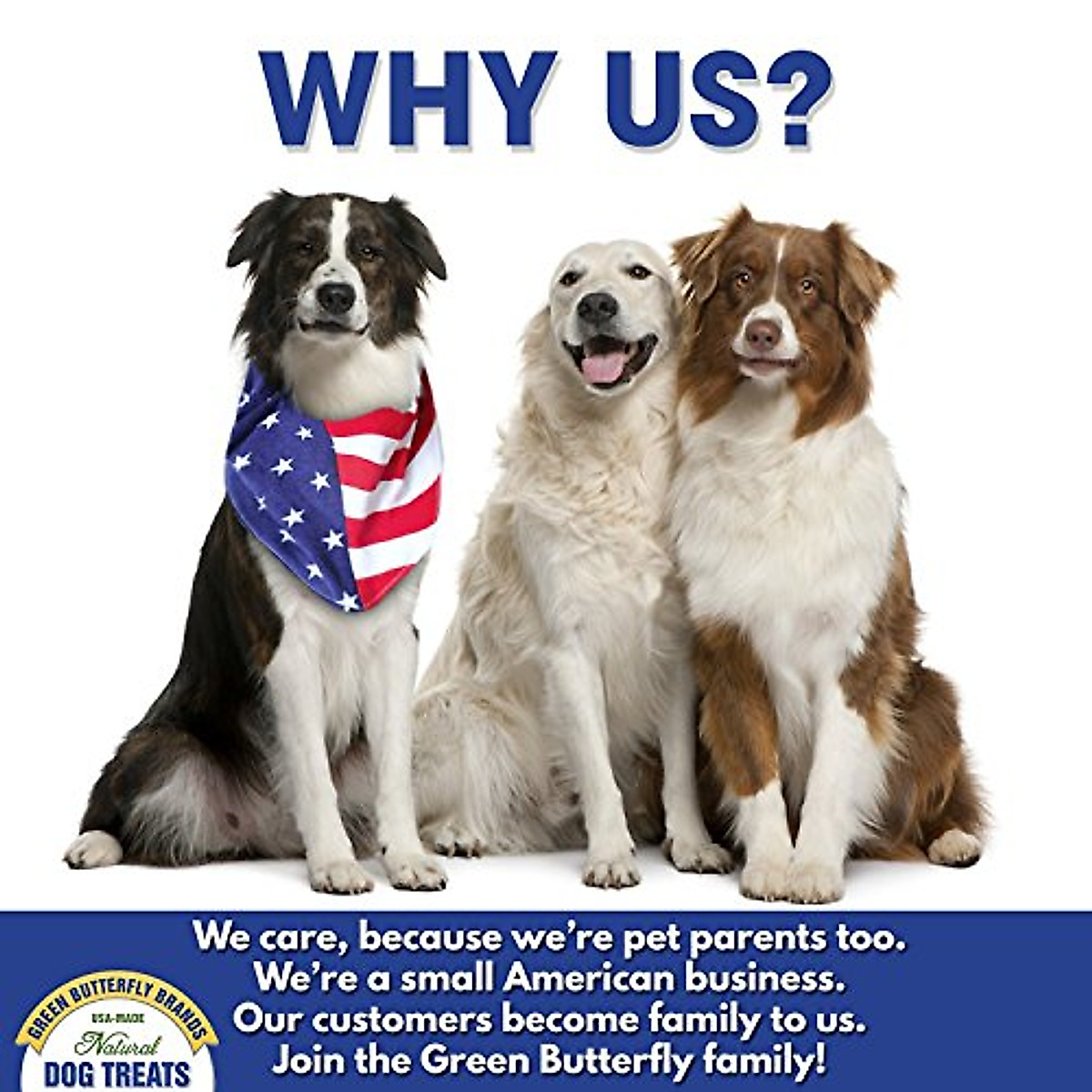 Green Butterfly Brands Chicken Jerky - Dog Treats Made in USA Only - 1 Ingredient: USDA Grade A Chicken Breast - No Additives or Preservatives - Grain Free Snack, All Natural Premium Strips, 8 Ounces