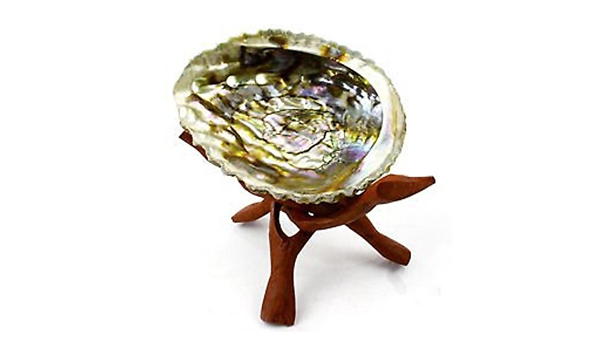 Vrinda Abalone Shell with Wooden Tripod Stand