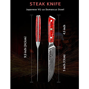 SANMUZUO Steak Knives Set of 4, Ultra Sharp Non Serrated Kitchen Steak Knife 5 Inch - Damascus Steel & Resin Handle - Xuan Series (Sunset Red)