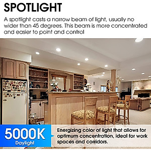 Energetic PAR38 Outdoor LED Flood Light Bulb, 5000K Daylight, 90 Watt Equivalent, Wet Rated, 900LM, E26 Base, Non-Dimmable, UL, 12 Pack