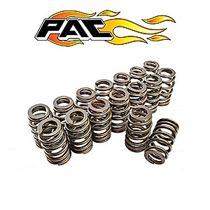 Sloppy Mechanics Stage 2 Camshaft Choose your kit! 4.8 5.3 5.7 6.0 6.2 LS LS1 LS2 LQ4 LQ9 Elgin 1840-P (Camshaft, Springs, Seals, Gaskets and Pushrods)