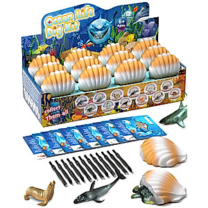 EARTH'SCODE Ocean Animals Dig Kit, Seashell Excavation Dig Bricks, Science Educational Gift for Kids
