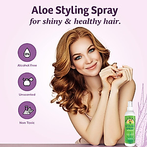 Lily Of The Desert Natural Hold Aloe Vera Hair Spray for All - Unscented, Alcohol-Free, Non-Aerosol, 8 Fl Oz