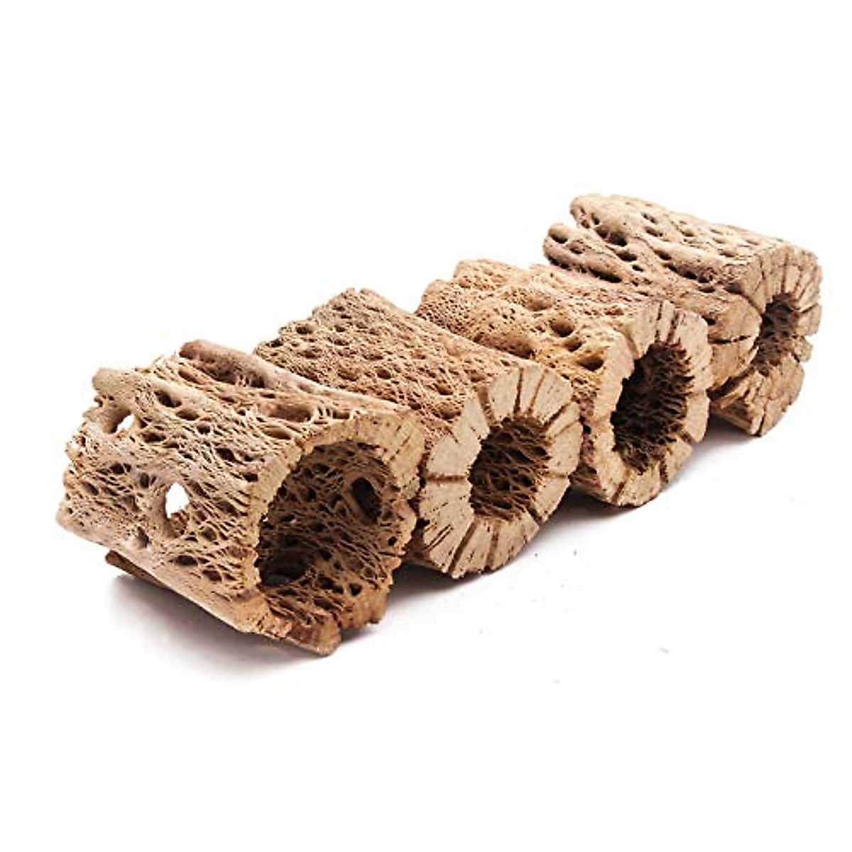 3, 6, 9, 12 Inch All Natural Teddy Bear Cholla Wood Extra Hollow Untreated Organic Aquarium Driftwood Decoration Chew Toy Shrimp Crab Pleco Cichlid Nano Tank Birds 1 or 5 Pieces (1 Piece, 3 inch)