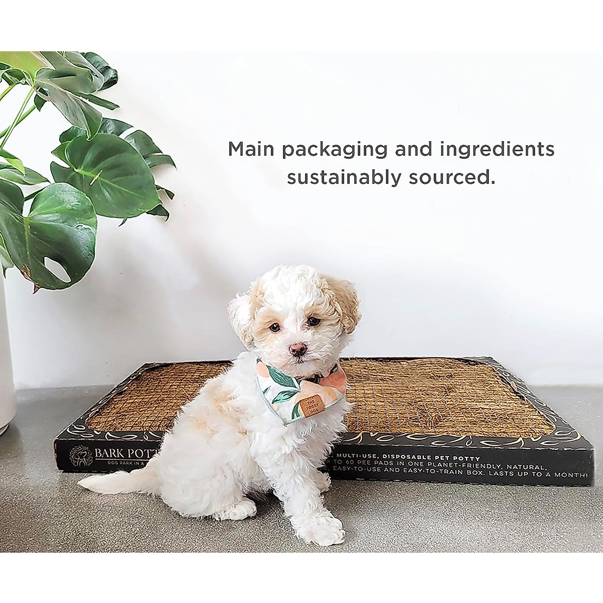 Puppy Bark Potty Disposable Dog Potty - Multi-Use, Odor Neutralizing, Non-Leaking - Replaces Traditional Pee Pads - Indoor/Outdoor