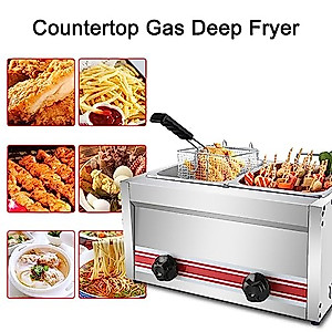 Large Capacity Countertop LPG/Gas Fryer, Commercial Stainless Steel Gas Fryer, for French Fries Turkey Donuts Home Kitchen Restaurant (Size : 10L)