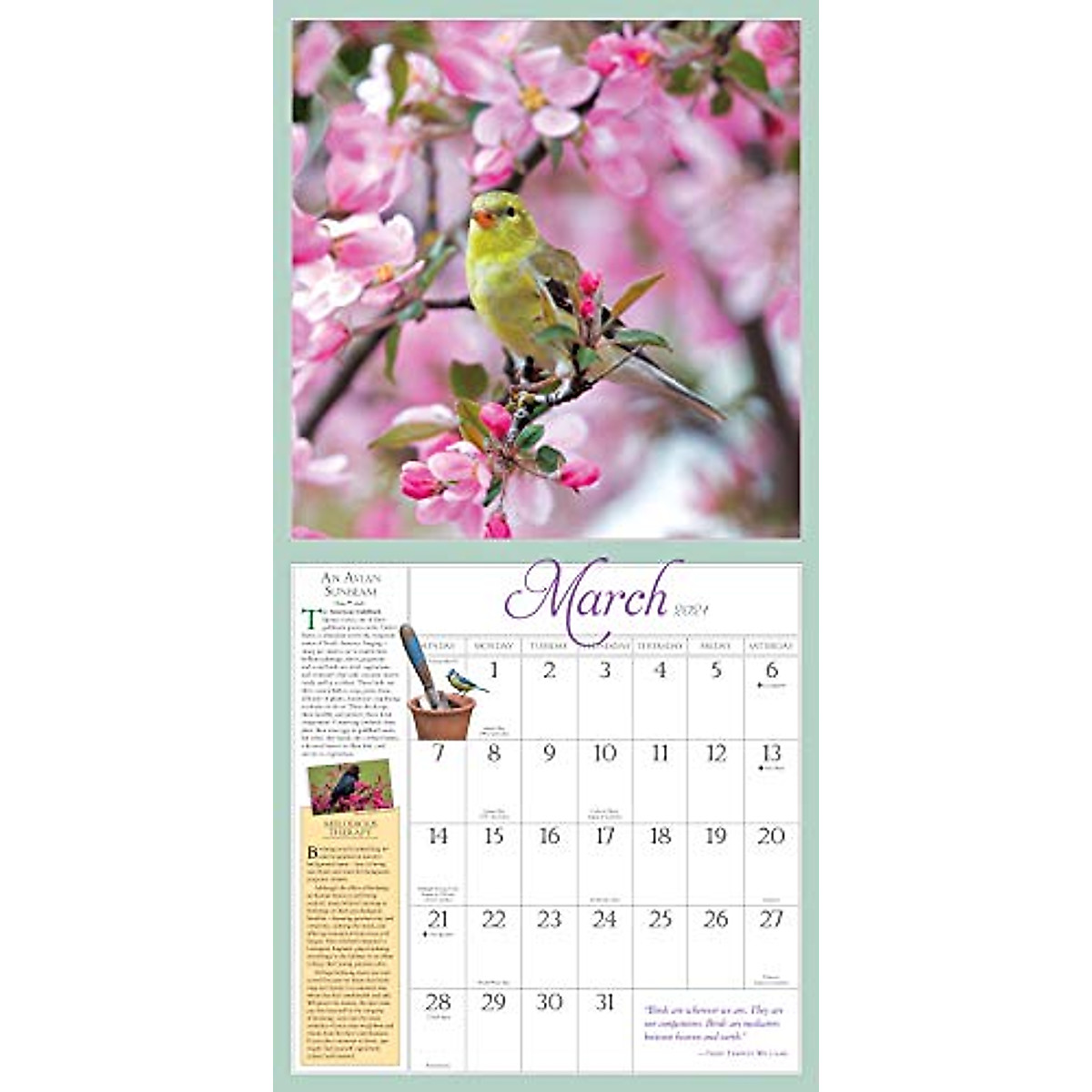 Audubon Birds in the Garden Wall Calendar 2021