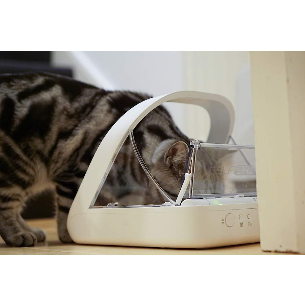 SureFlap Sure Petcare SureFeed - Microchip Pet Feeder - Automatic Pet Feeder Makes Meal Times Stress-Free, MPF001