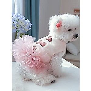 QWINEE 3Pcs Dog Hoodie Cat Apparel Dog Custume Set with Necklace and Sunglasses Pet Clothes for Puppy Small Medium Dogs Cats Soild Red S