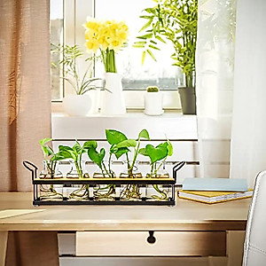 THYGIFTREE Plant Propagation Stations with Metal Stand, Tabletop Plant Terrarium for Propagating Hydroponic, Retro Glass Planter Flower Vase Home Kitchen Office Decor, Plant Lover Gifts, 5 Jars