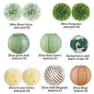Sage Green Party Decorations with Paper Lanterns and Tissue Paper Pom Poms Green Hanging Decorations for Birthday Baby Shower Wedding Bridal Shower Graduation Party Decor