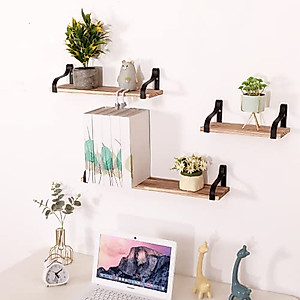 Hybition Floating Shelves, Set of 3 Rustic Wood Shelves, Wall Mounted Shelf for Wall, Bedroom, Living Room, Bathroom and Plants (Carbonized Black)