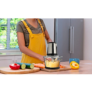 Eternal Living Food Processors & Vegetable Chopper with Glass Bowl Ground Meat Vegetables Fruits Nuts Ice, Stainless Steel