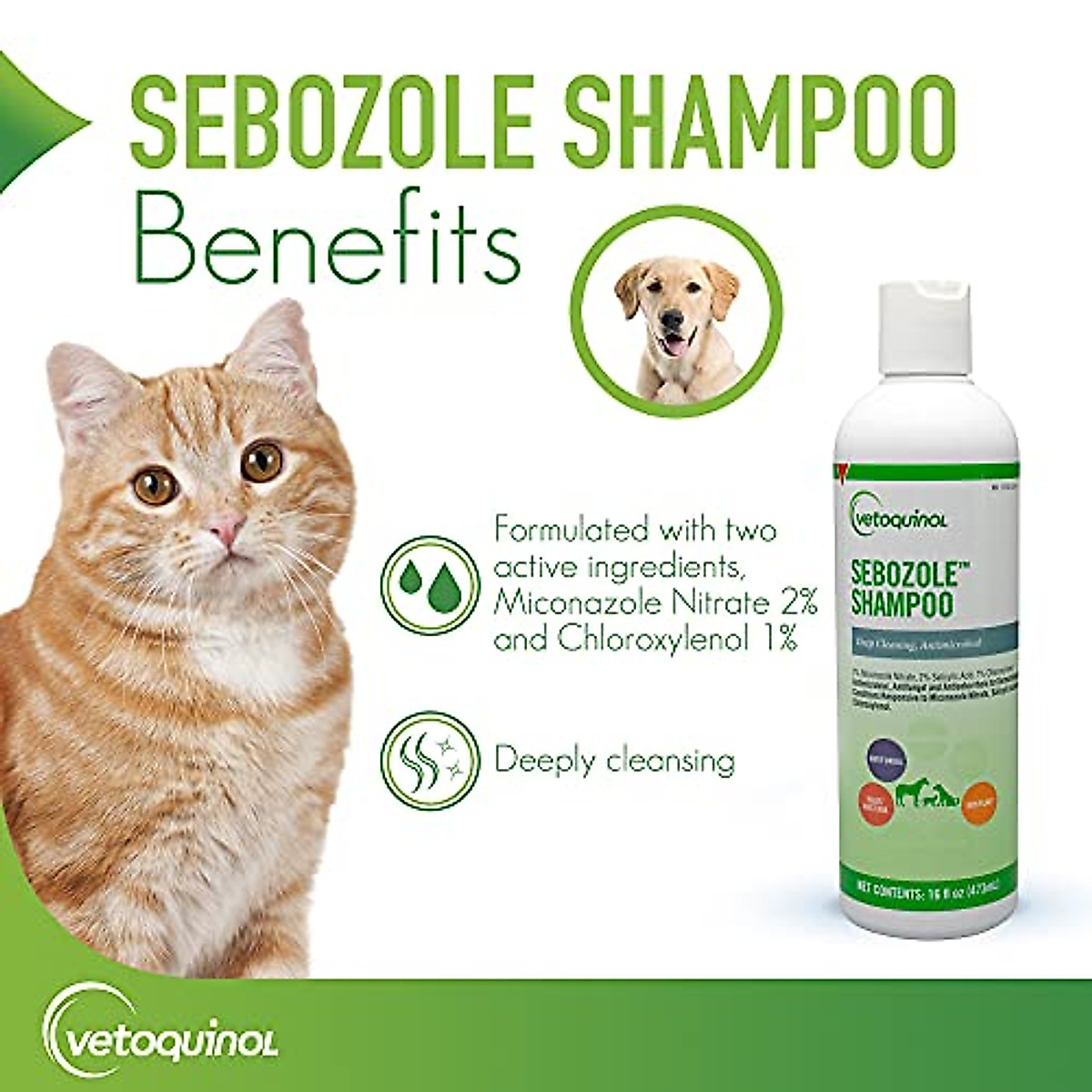 Vetoquinol Sebozole Pet Shampoo with Miconazole Nitrate 2% and Chloroxylenol 1%, 16oz